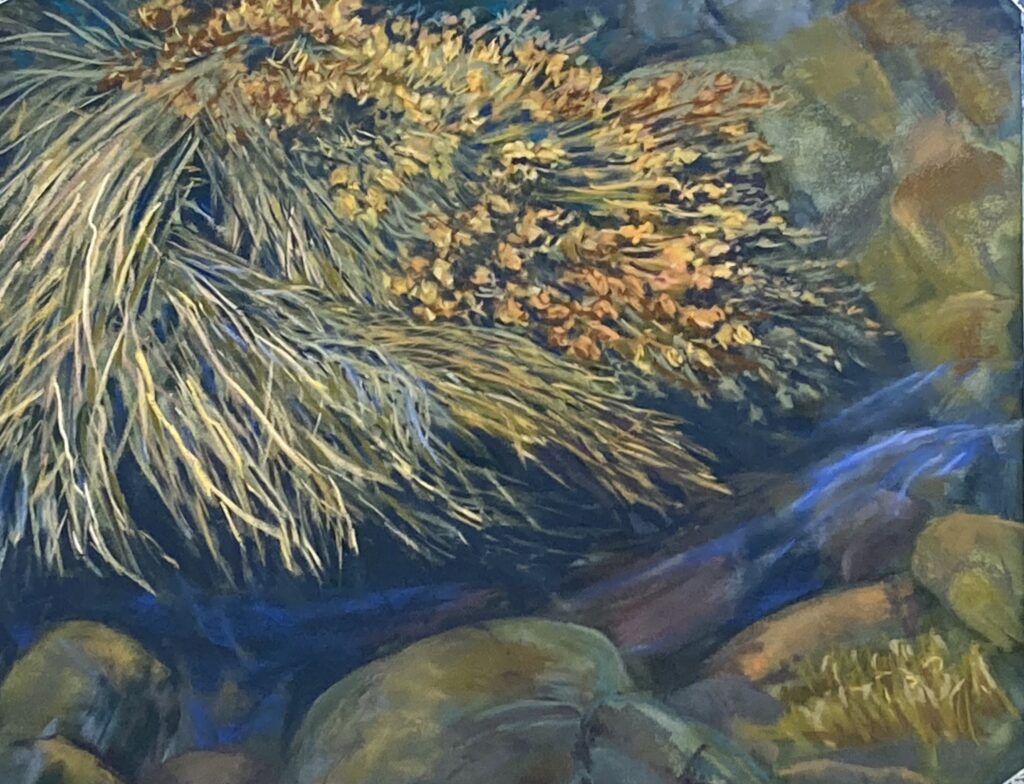 Images 2024 Exhibition Gallery - Central Pennsylvania Festival of the Arts